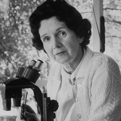 ᐈ Los 15 Biólogos más famosos ️ de la biología e historia