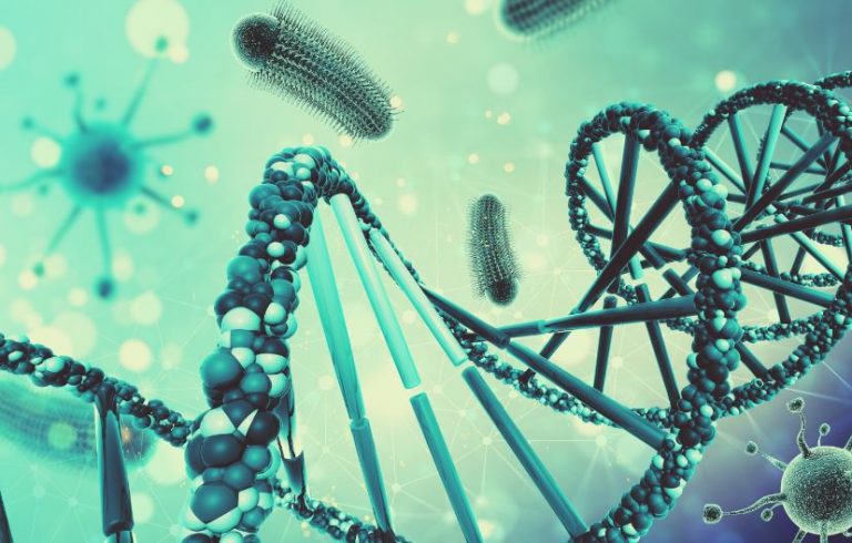 🥇 Qué es un biólogo y que hace, TIPOS DE BIÓLOGOS